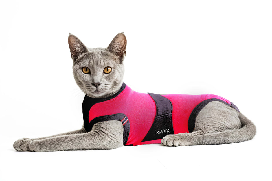 MAXX PET