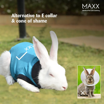 MAXX PET
